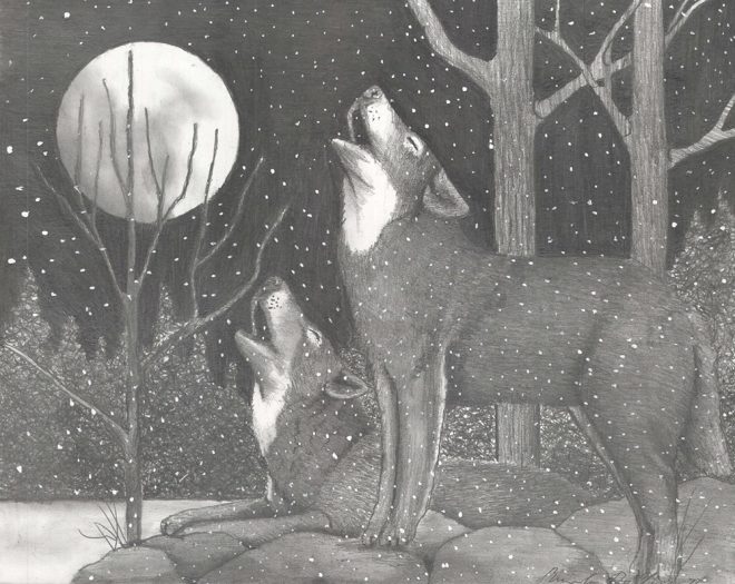 Wolves Howling At Full Moon, Winter - Art Print - By Bruce Dellinger